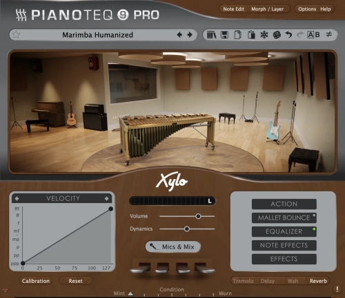 Xylophone and Bass Marimba by Modartt - Xylophone
